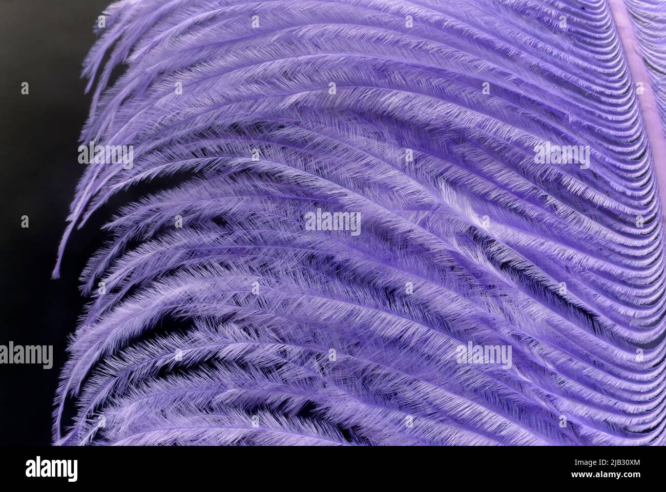 Fragile texture hi-res stock photography and images - Alamy