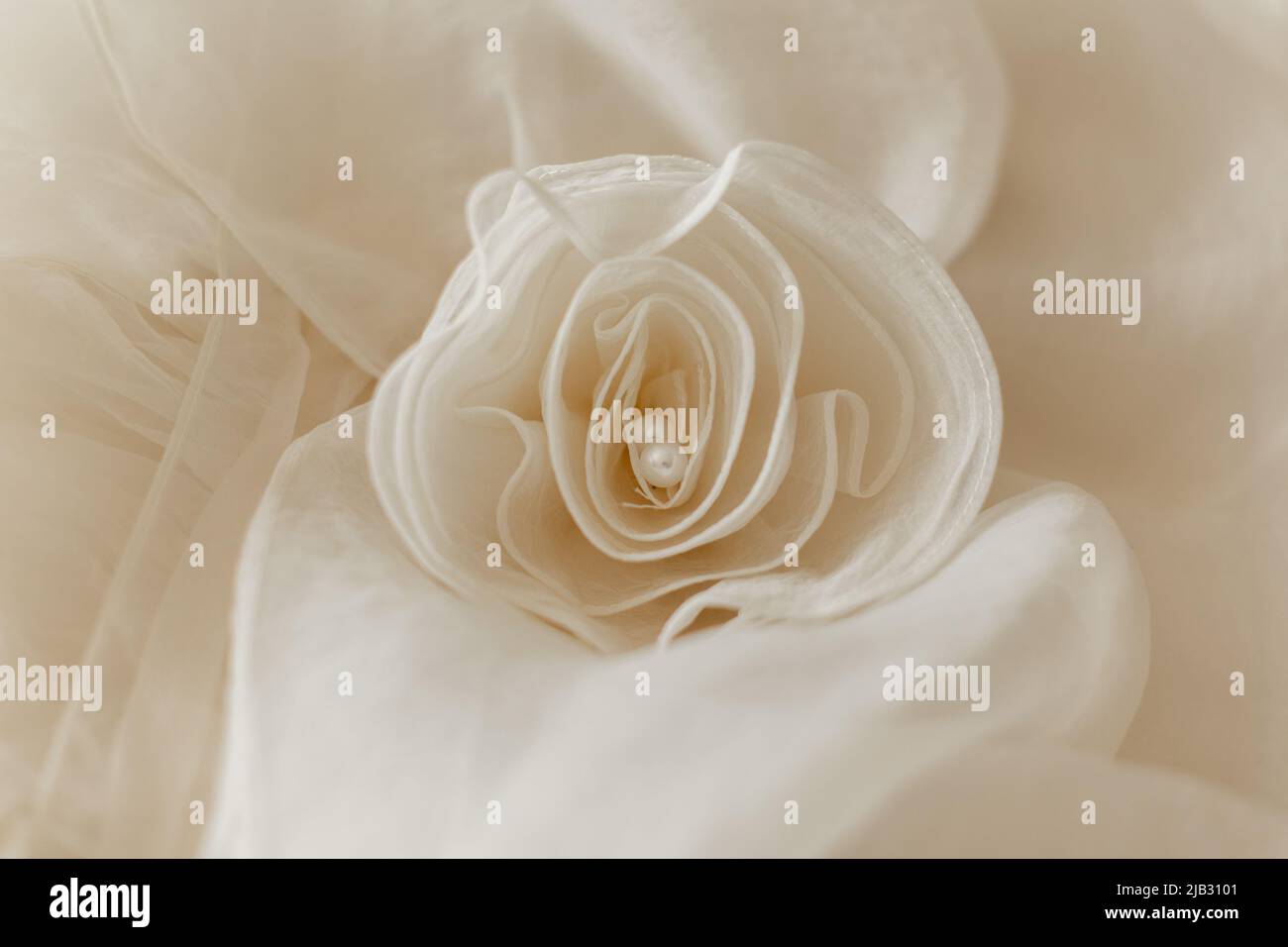 Pearls photo hi-res stock photography and images - Alamy