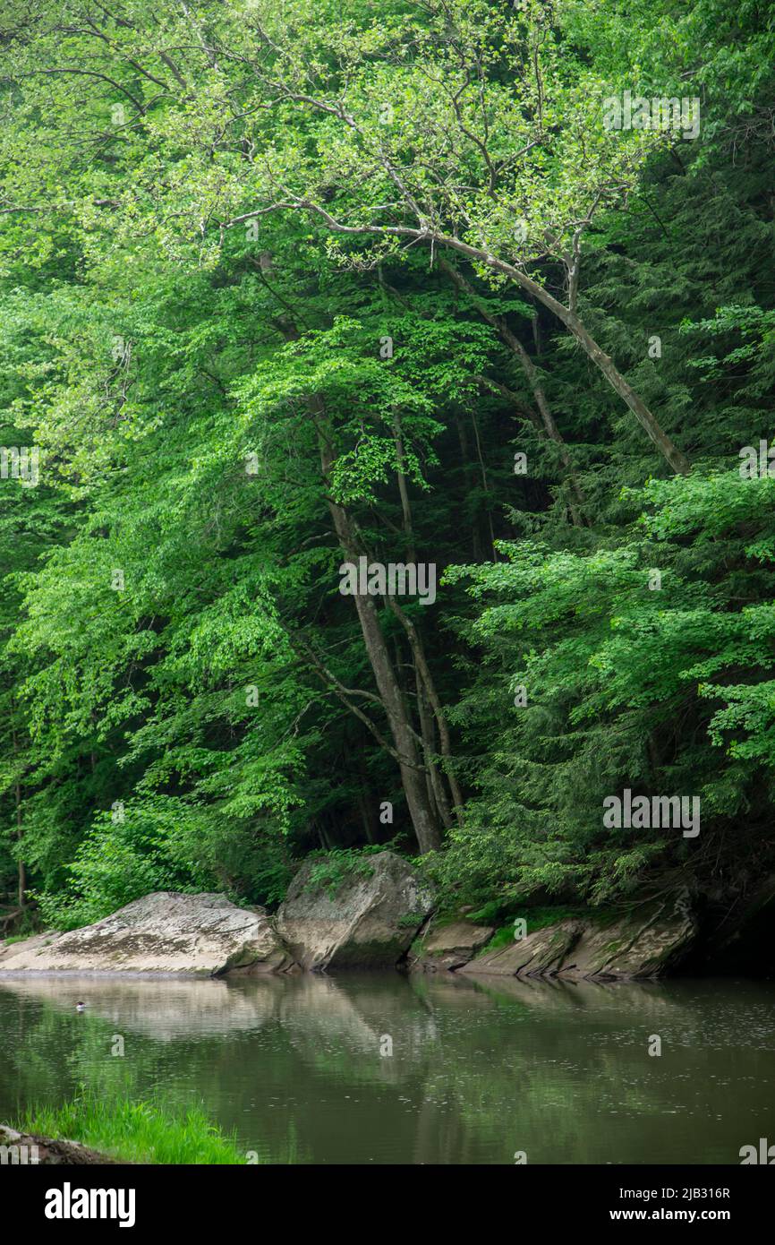 McConnells Mill is a popular State Park in Western Pennsylvanis. Its ...