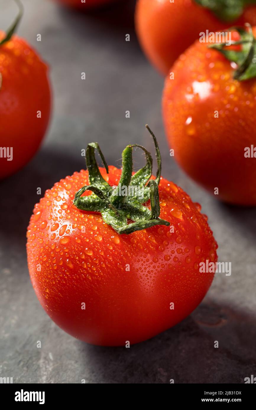 Raw Red Organic Vine Ripened Tomatoes Ready to Eat Stock Photo - Alamy