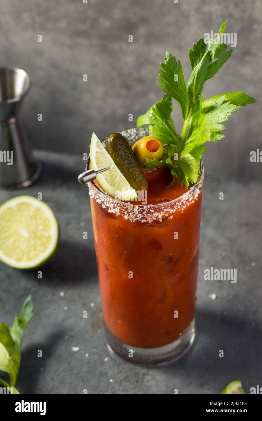 Boozy Refreshing Bloody Mary Cocktail with Vodka and Celery Stock Photo ...