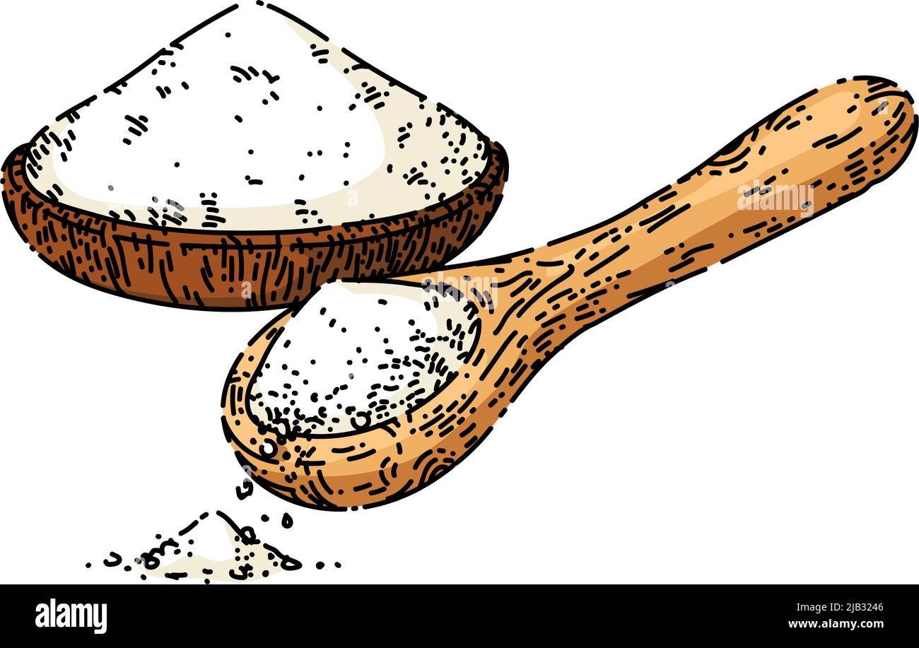 salt in wooden spoon sketch hand drawn vector Stock Vector Image & Art ...