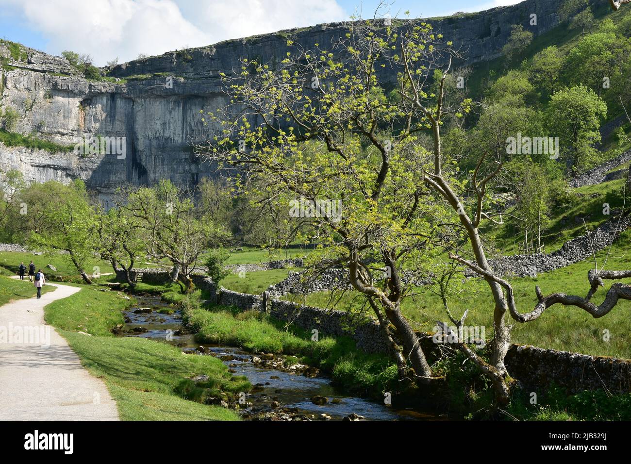 Malham Cove, from the footpath, Malham, Yorkshire Dales in Summer Stock ...