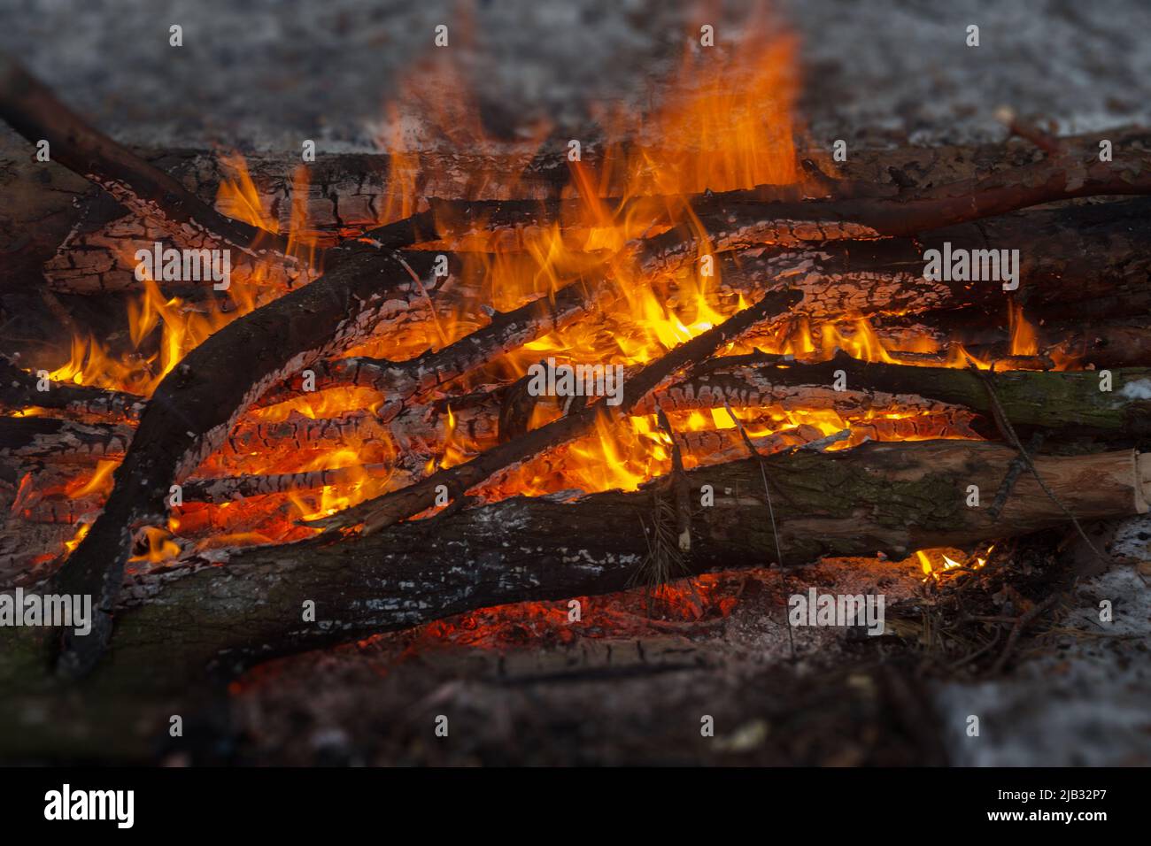 Warm bright fire and sparks in a bonfire from burning wooden logs ...