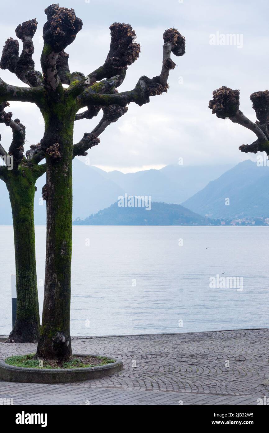 A small picturesque resort town of Bellagio, Italy, on the shores of ...