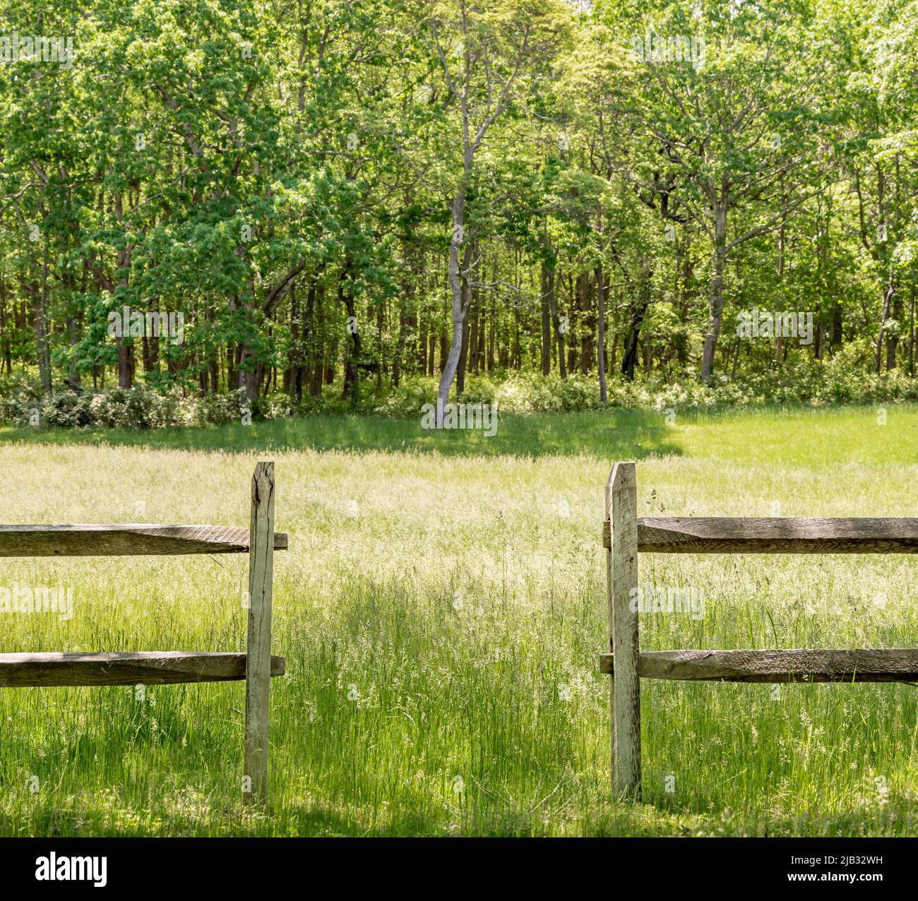 Opening in a split rail fence to a field with trees beyond Stock Photo ...