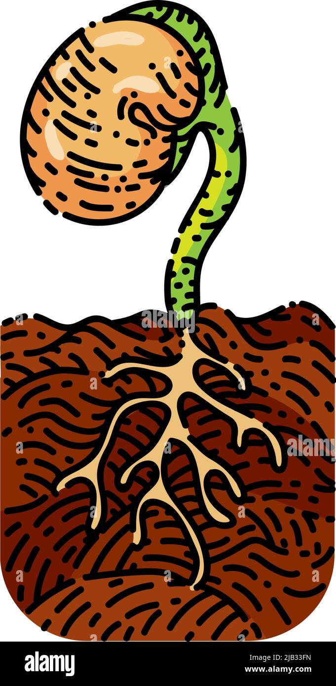 Tomato rose garden plant Stock Vector Images - Alamy