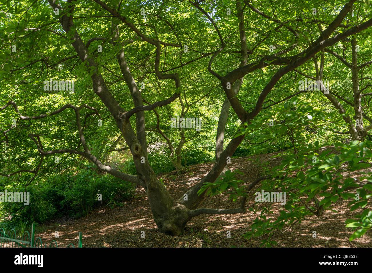 Curved beams hi-res stock photography and images - Alamy