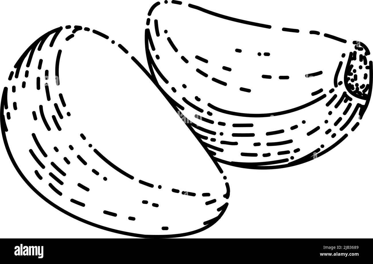 garlic cloves peeled sketch hand drawn vector Stock Vector Image & Art ... garlic cloves peeled sketch hand drawn vector Stock Vector Image & Art ...