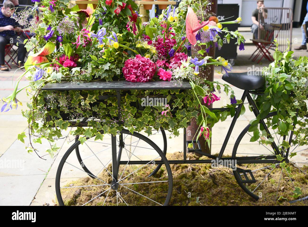 Manchester, UK, 2nd June, 2022. The Manchester Flower Show returns to ...
