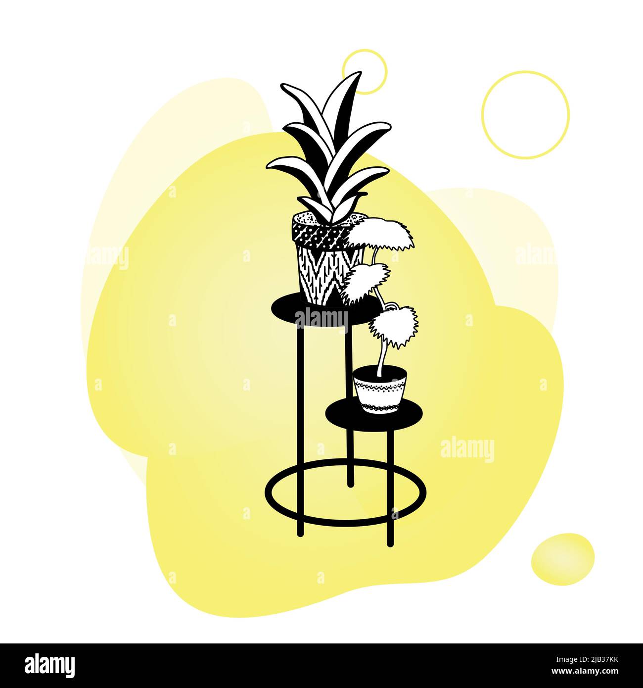 Potted flowers on a stand, home decor on a colored background. Hand ...