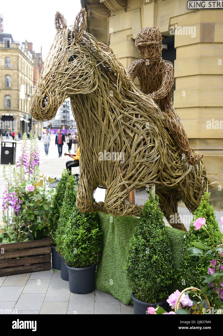 Manchester, UK, 2nd June, 2022. Cane horse and rider. The Manchester ...