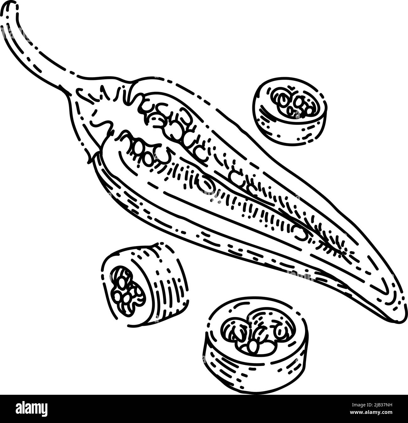 sliced chili pepper sketch hand drawn vector Stock Vector Image & Art ...