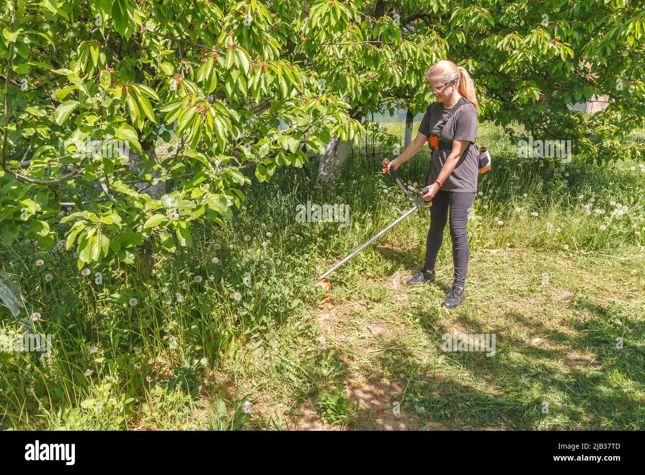 Girl mows lawn on sunny hi-res stock photography and images - Alamy