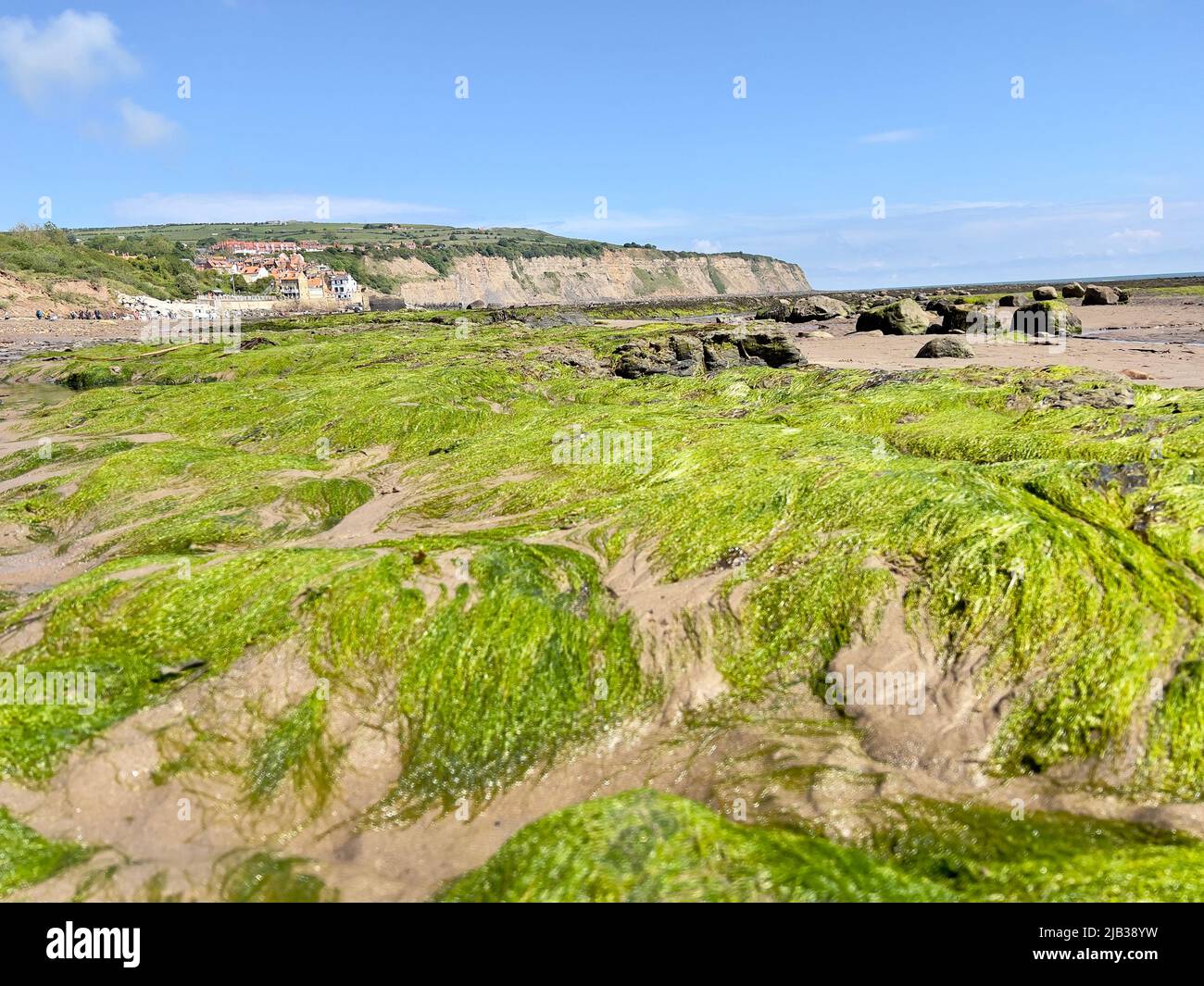 Seaweed on Sand, Robin Hood's Bay, Whitby Stock Photo - Alamy