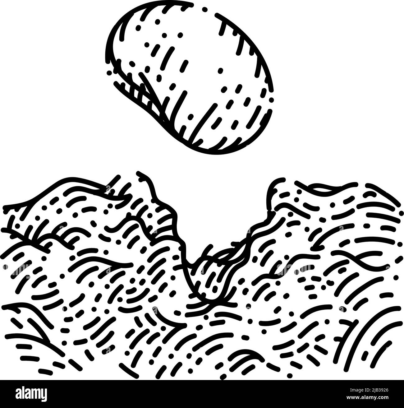 seed sketch hand drawn vector Stock Vector Image & Art - Alamy