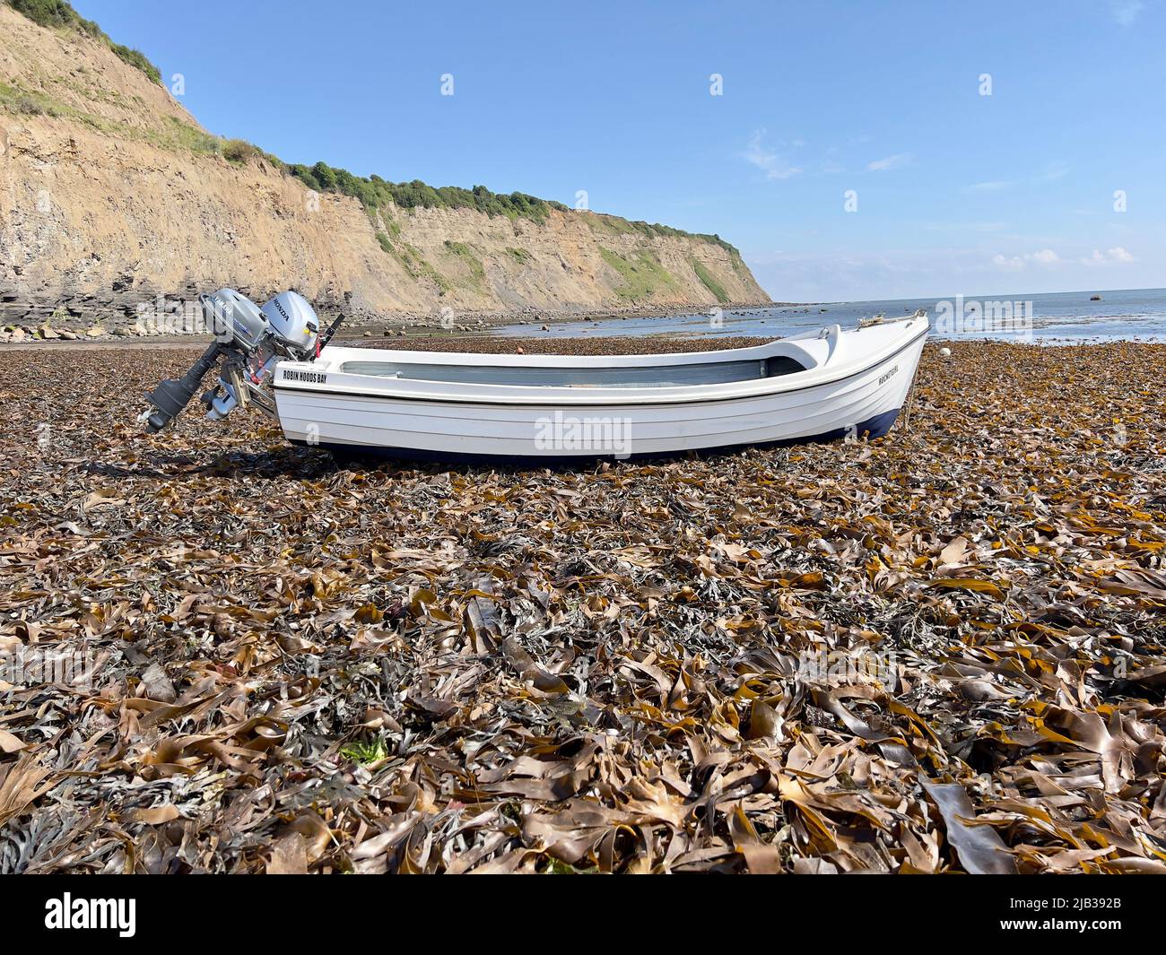 Blue seaweed boat hi-res stock photography and images - Alamy