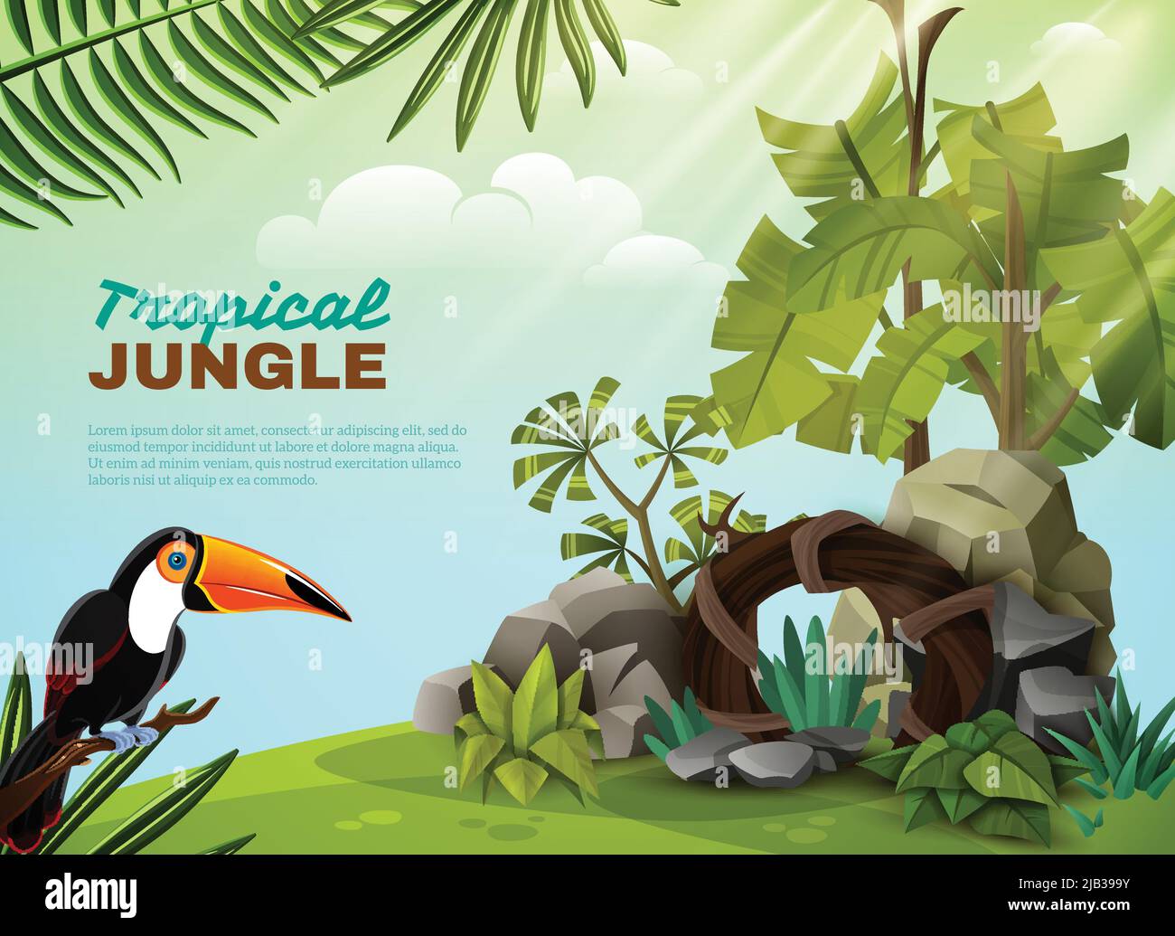 Jungle Elements Vector Plant Elements From Jungle Royalty Free Vector