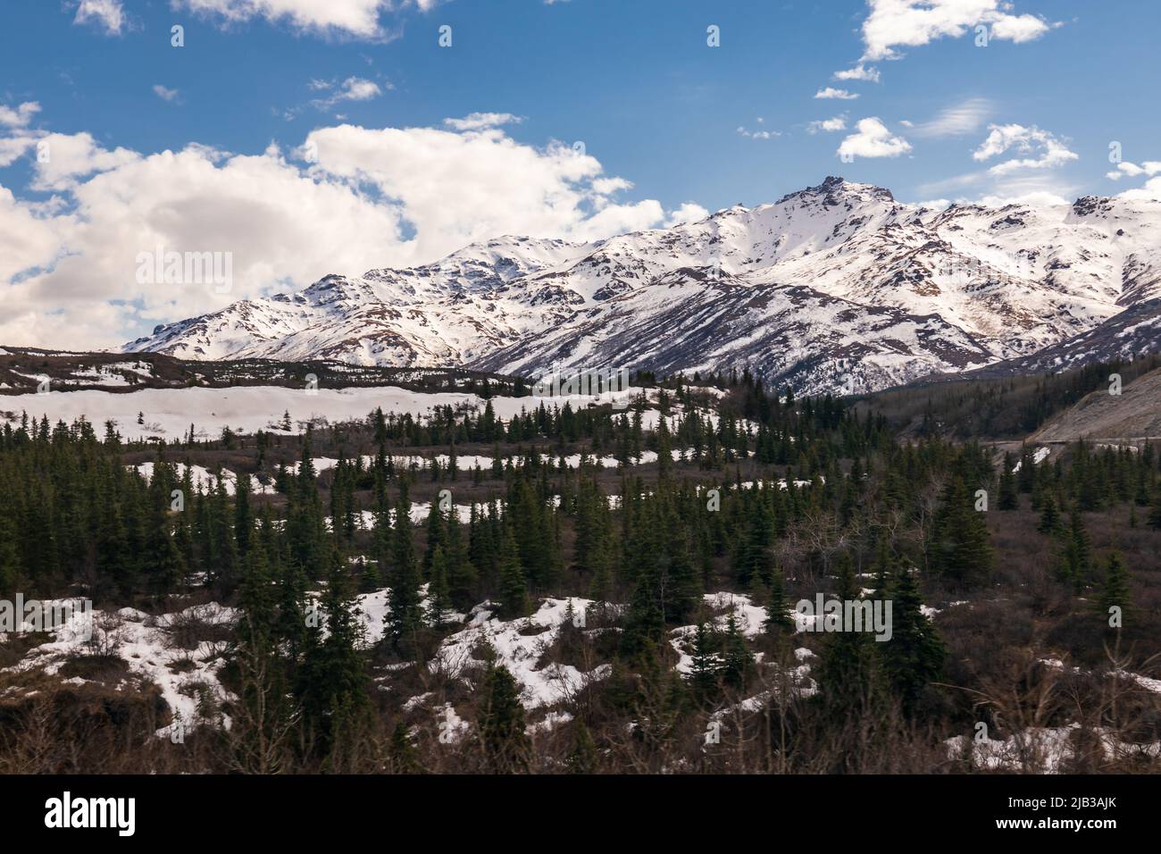 Alaskan Railroad train from Denali to Fairbanks, Alaska Stock Photo - Alamy