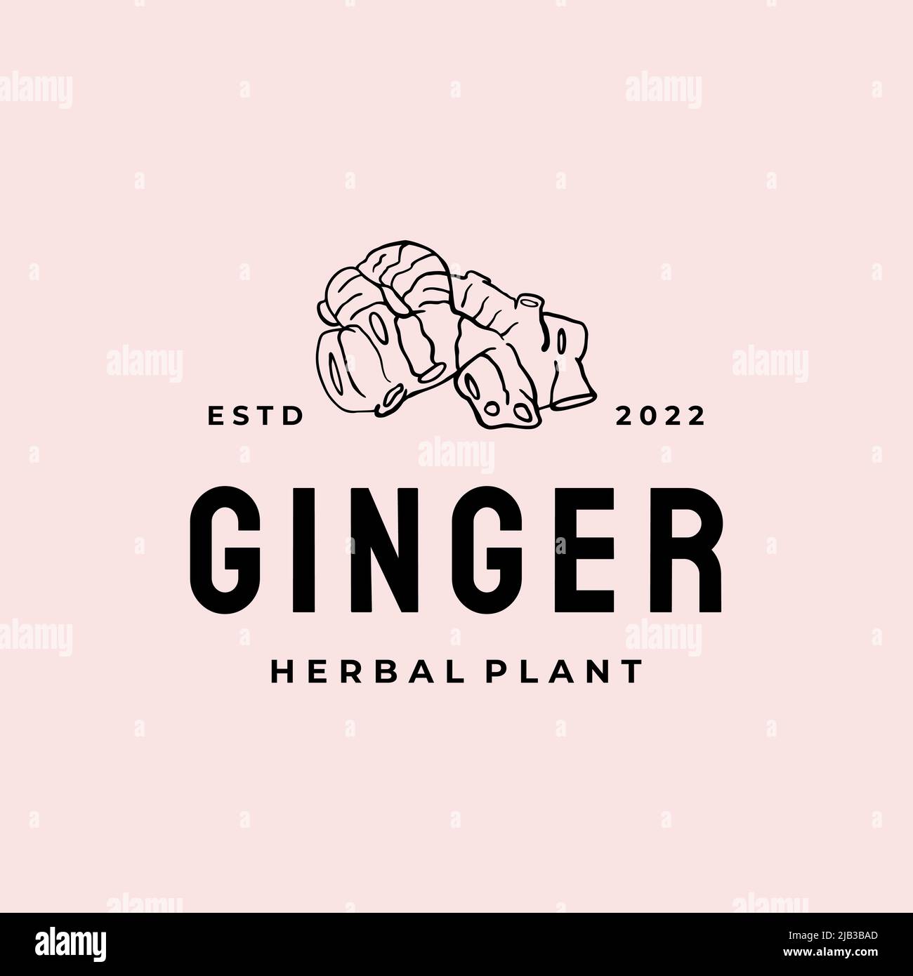 Ginger root logo. Herbal spice logo design vector Illustration Stock ...
