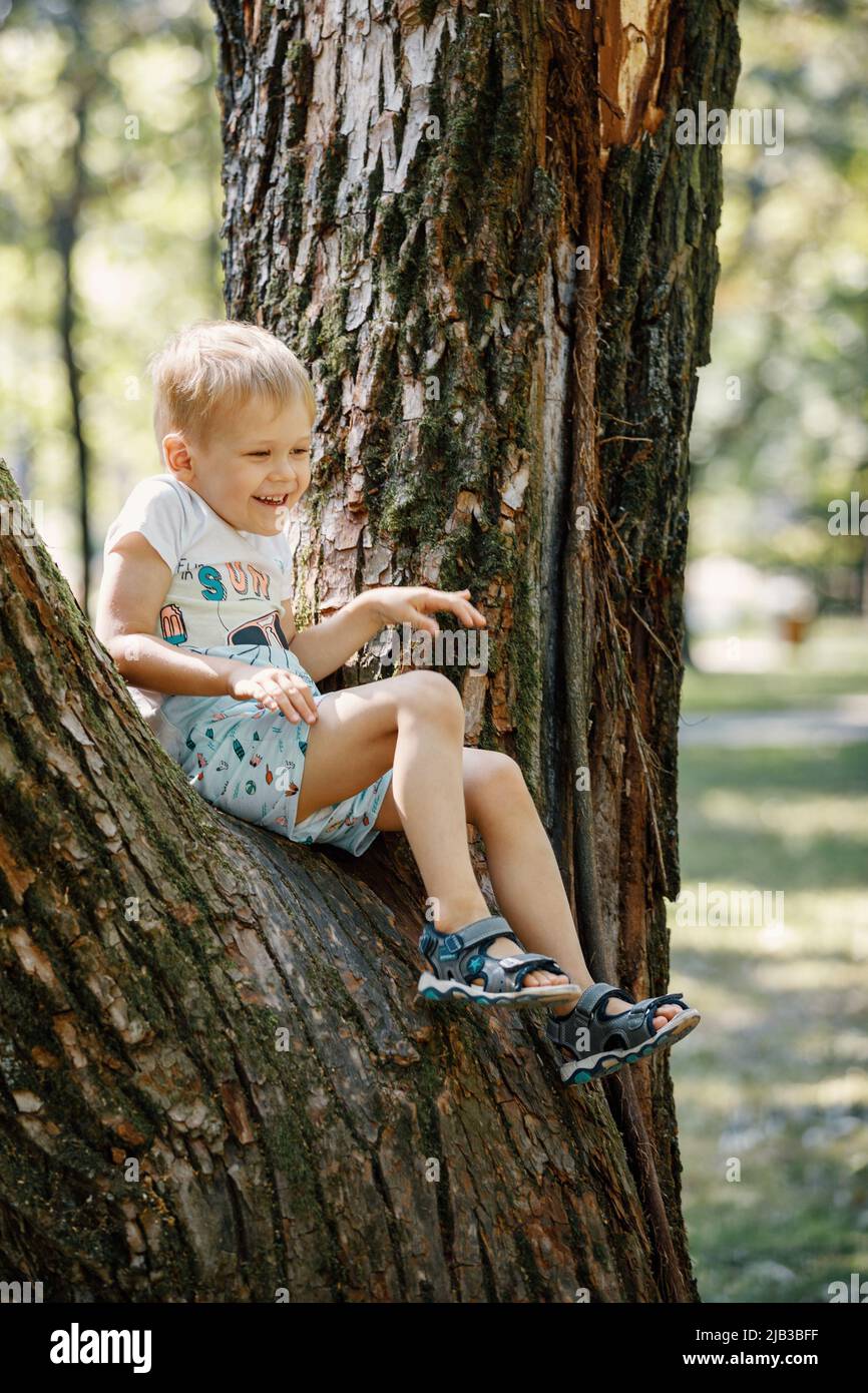 Cute kid boy sitting on the big tree in the park on a spring or summer ...