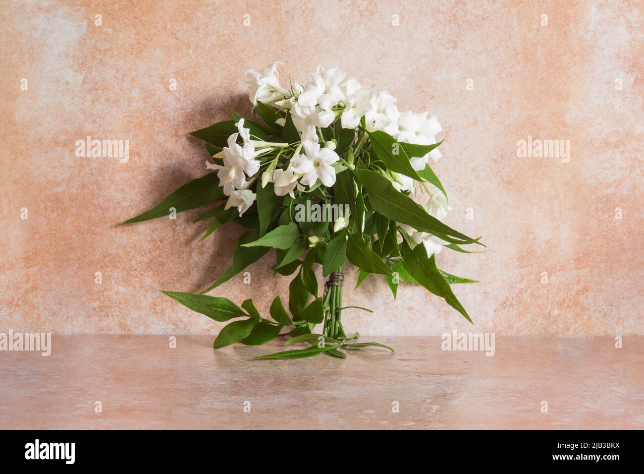 A bouquet of jasmine flowers tied with a small string on a studio ...