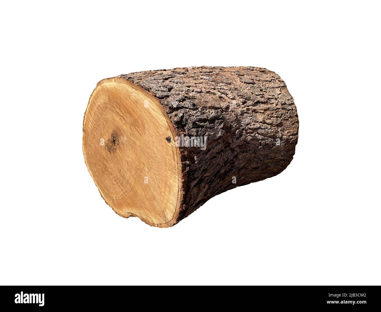 Stump isolated on white background Stock Photo - Alamy
