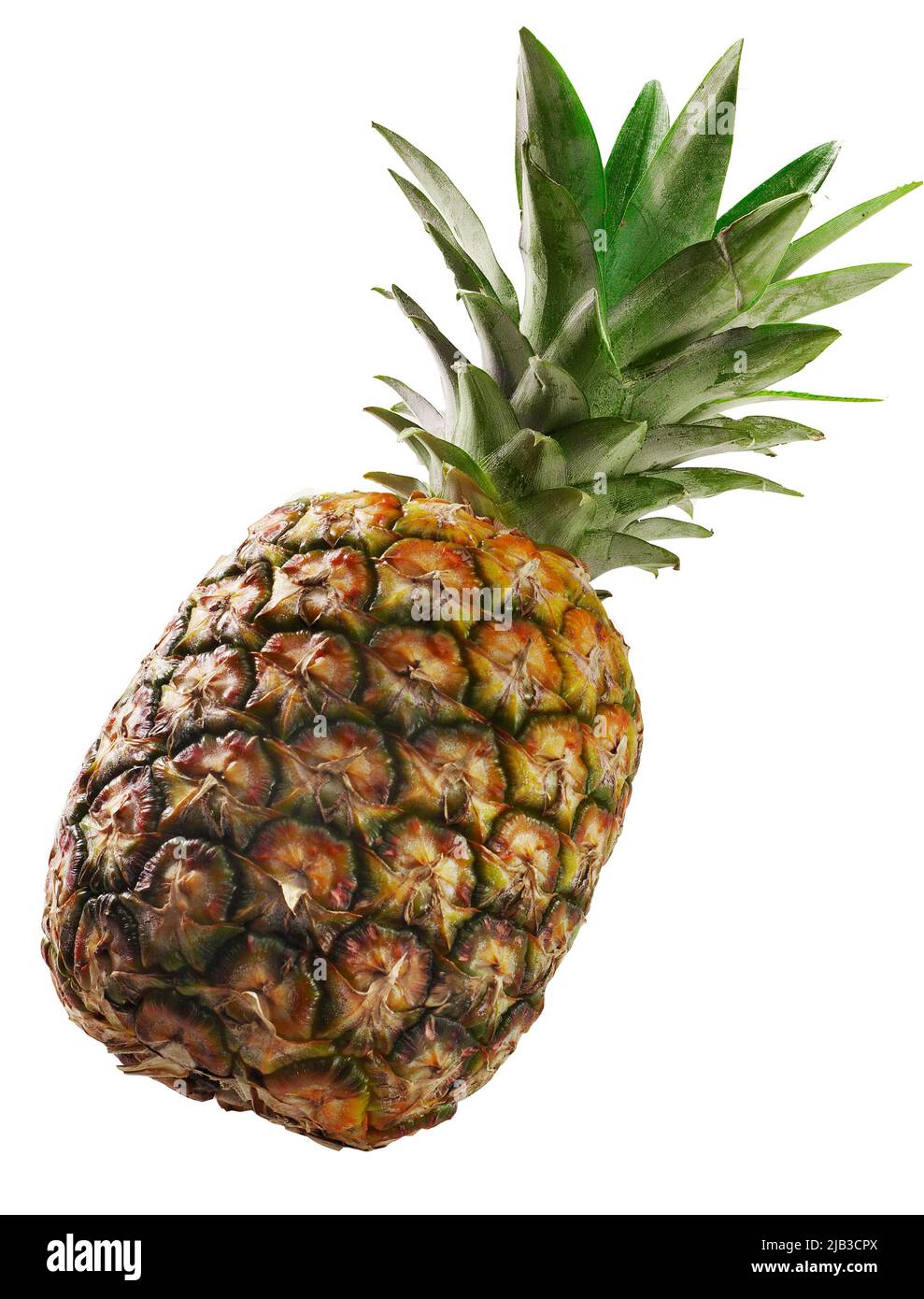 Pineapple low angle view in white background Stock Photo - Alamy