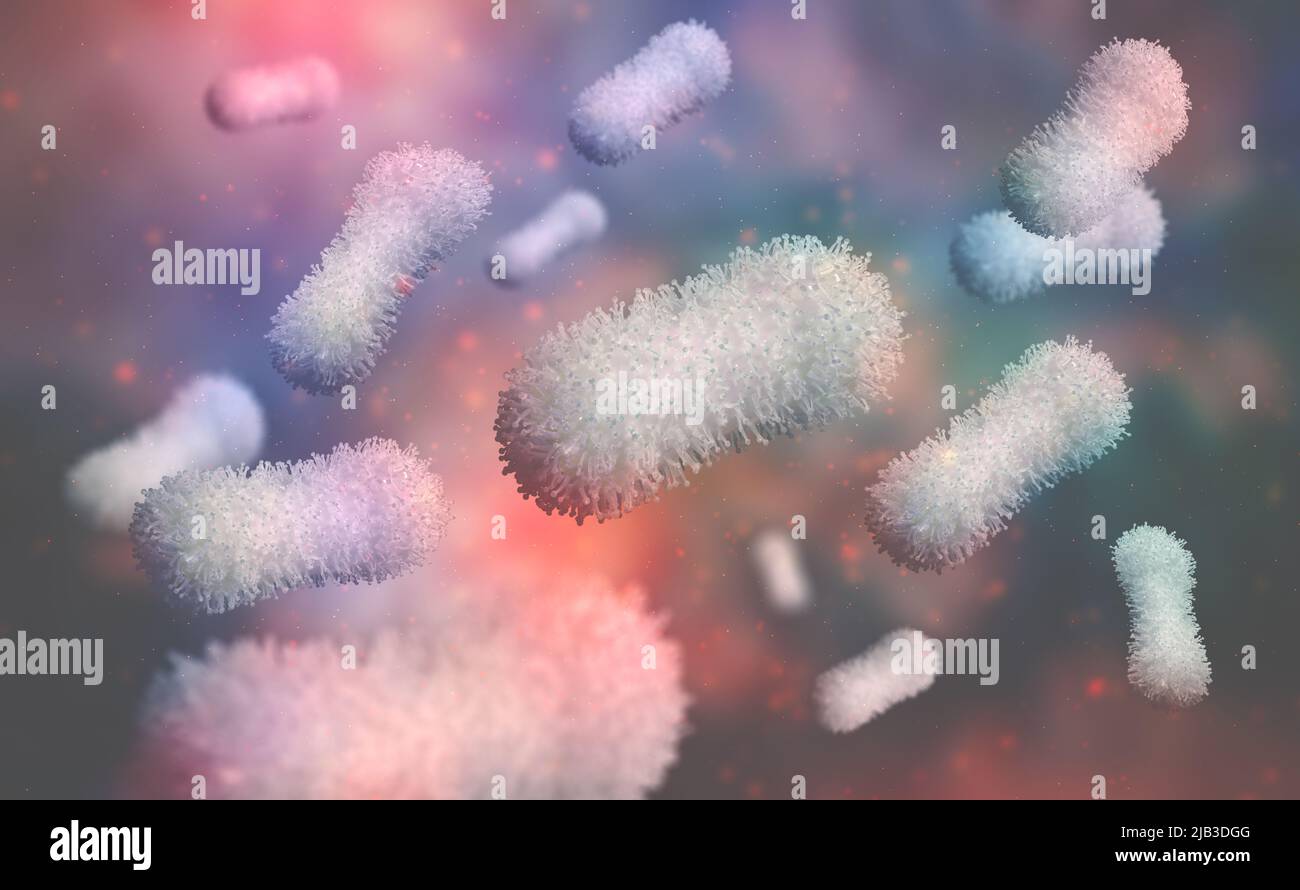 Bacteria under microscope hi-res stock photography and images - Alamy