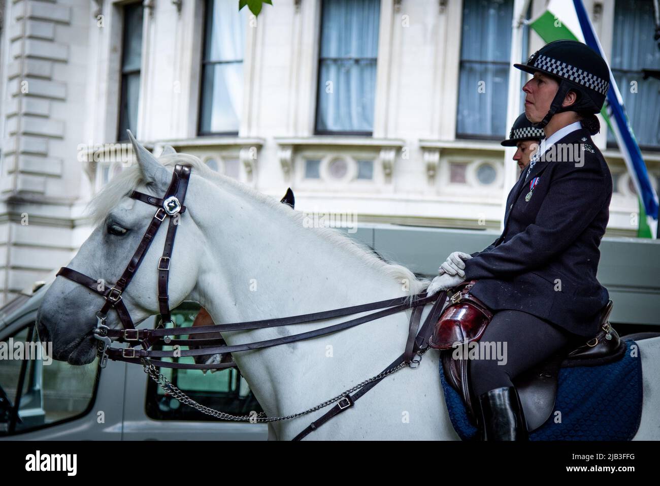 London, UK. 02nd June, 2022. Police stand on guard on a white horse ...