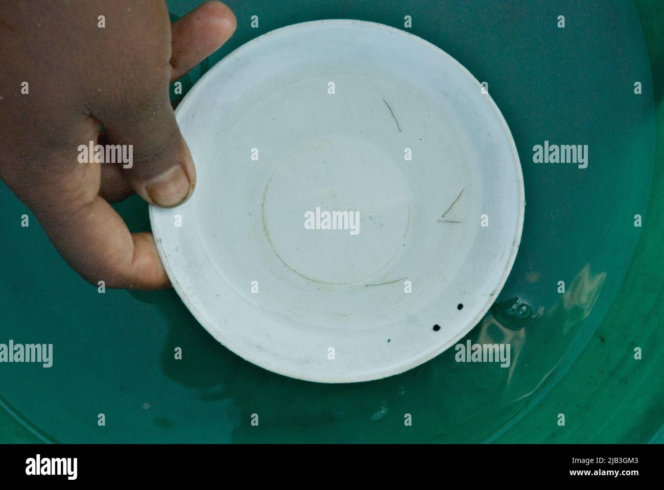 Woman sorting out the fish that have been caught in buckets. Bangladesh ...