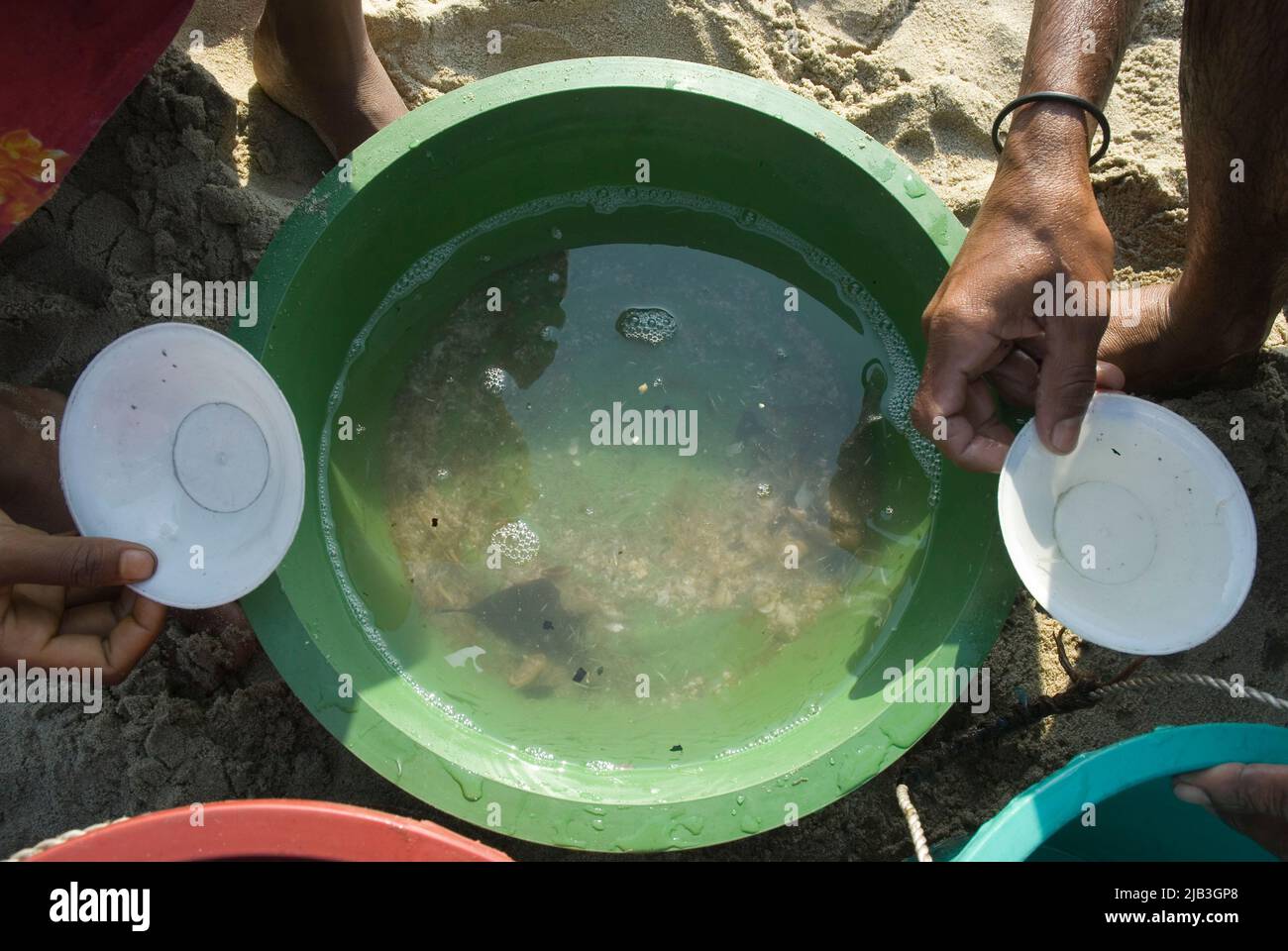 Woman sorting out the fish that have been caught in buckets. Bangladesh ...