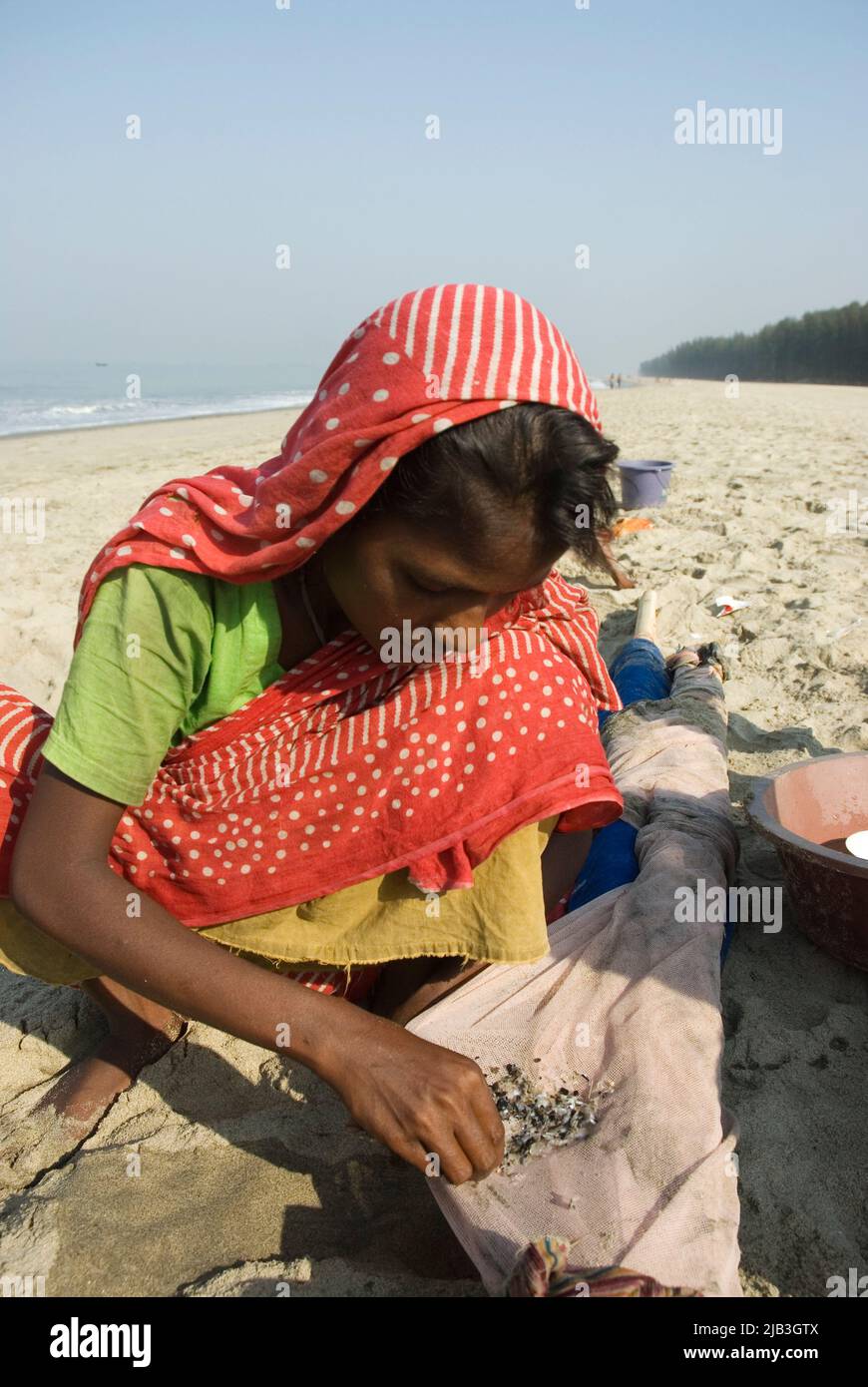 Woman sorting out the fish that have been caught in buckets. Bangladesh ...