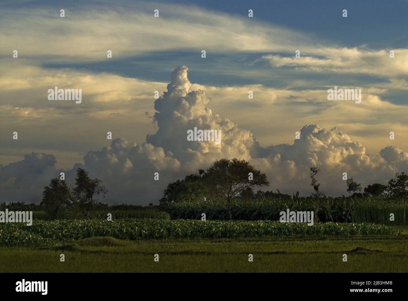 Meherpur hi-res stock photography and images - Alamy