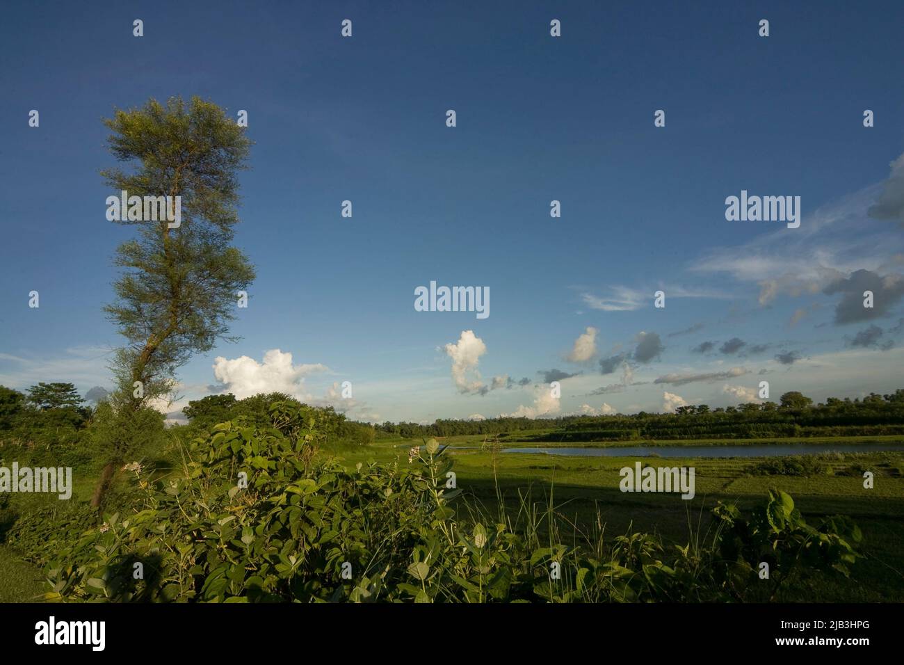 Meherpur hi-res stock photography and images - Alamy