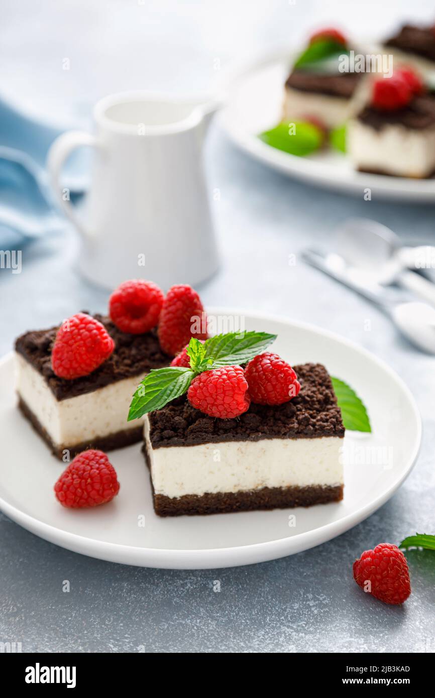 Chocolate cube cake, sliced brownie cheesecake with fresh raspberry ...
