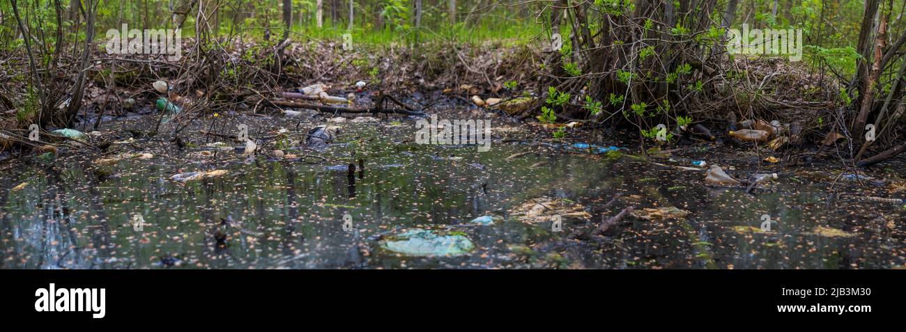 Garbage floats on surface of water in pond. Ecosystem problem because ...