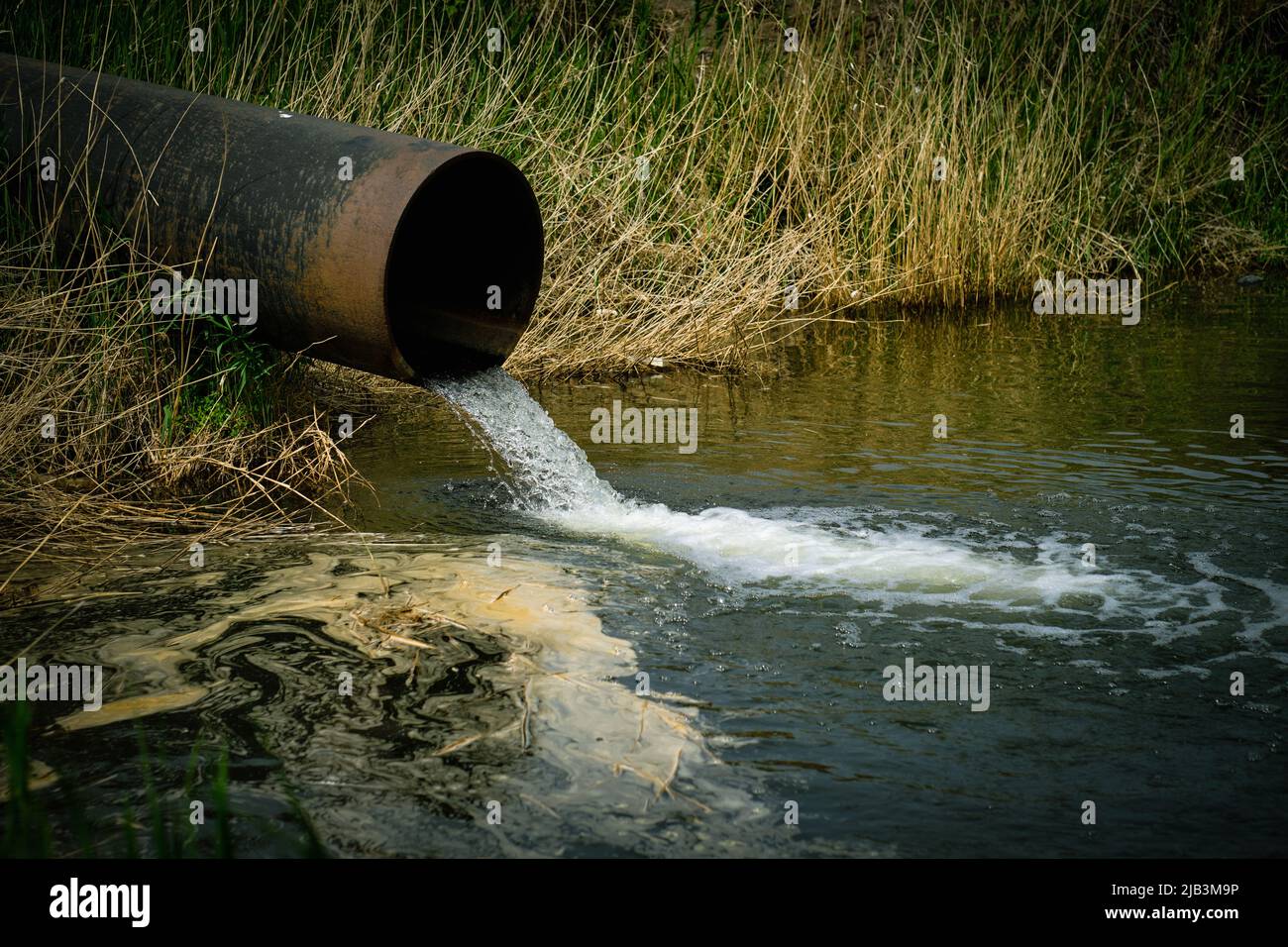 Draining sewage from pipe into river, pollution rivers and ecology ...