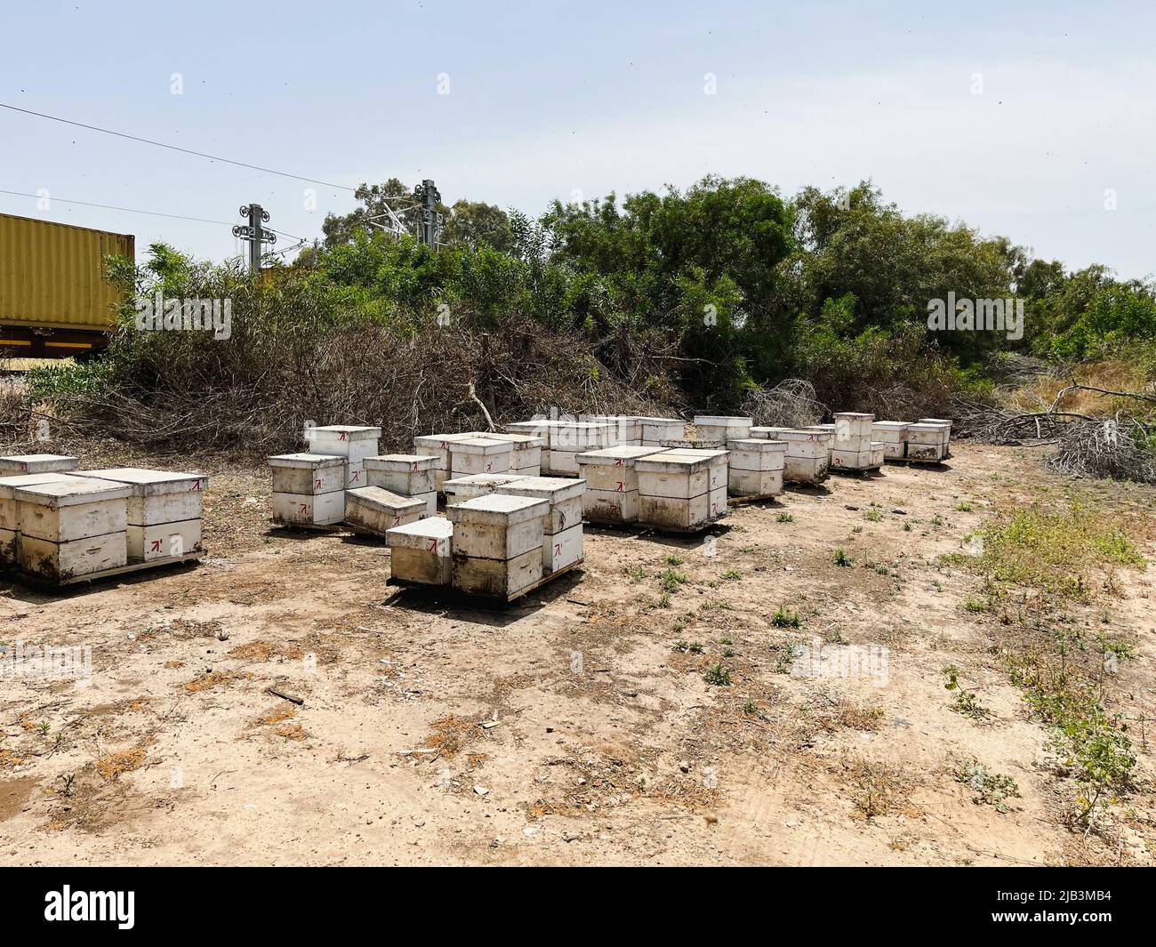 A beehive from a tree stands on an apiary. The houses of the bees are ...