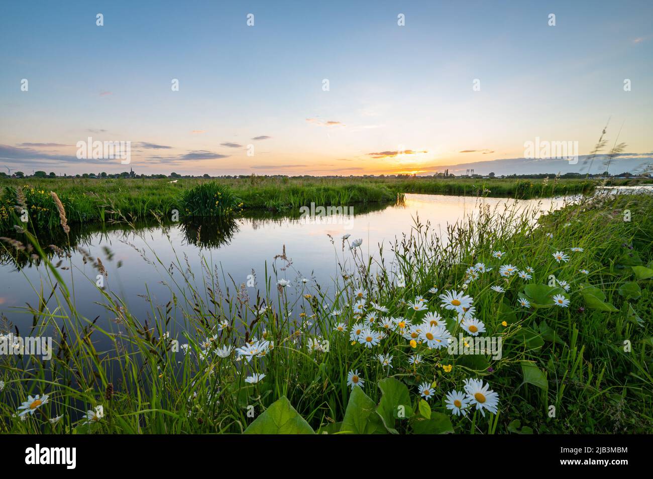 Rustic scene of the Dutch polder landscape at sunset Stock Photo - Alamy