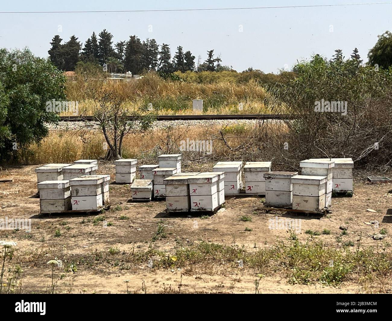 A beehive from a tree stands on an apiary. The houses of the bees are ...