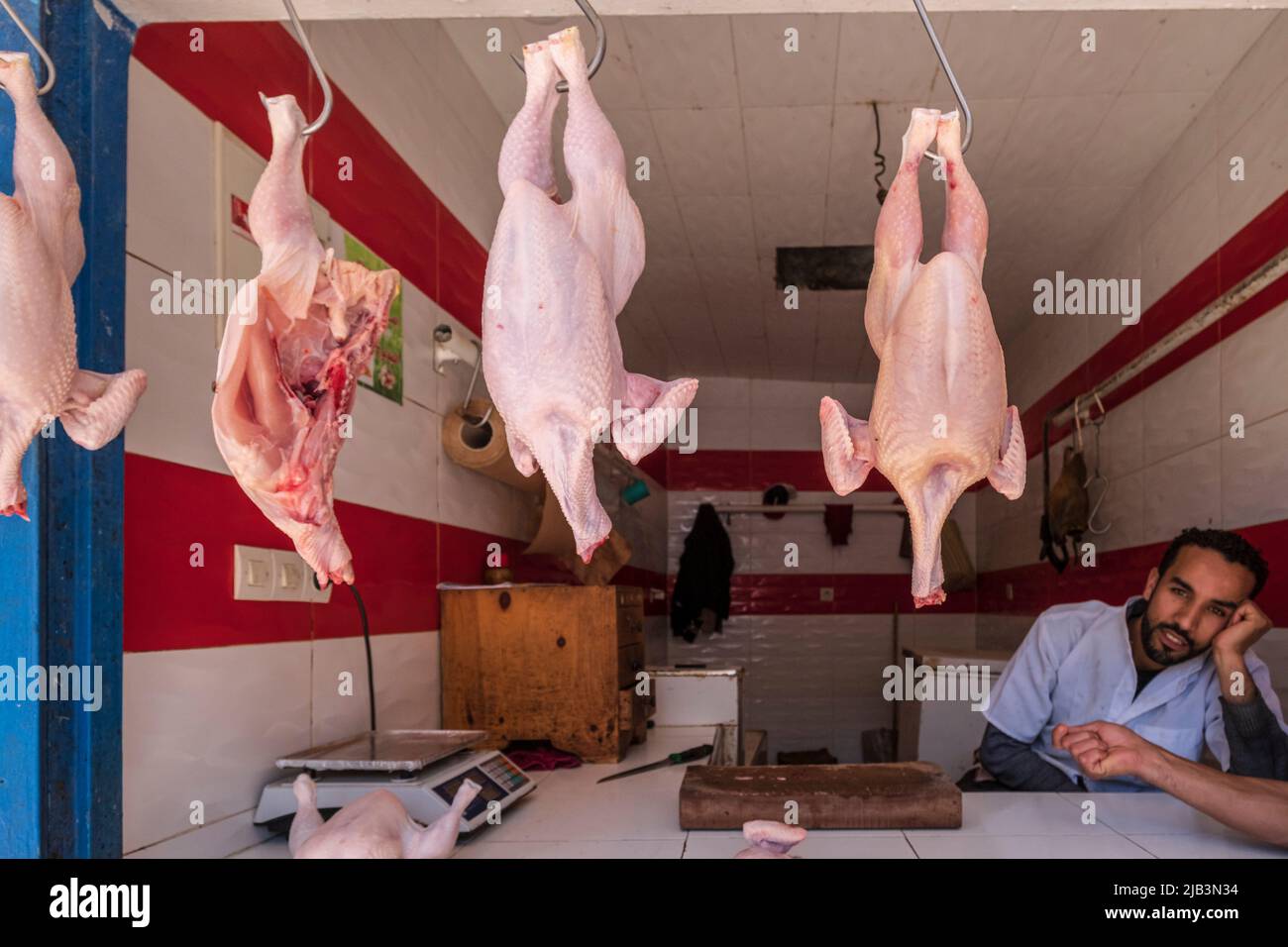 sale of chickens in a butcher shop, Essaouira, morocco, africa Stock ...