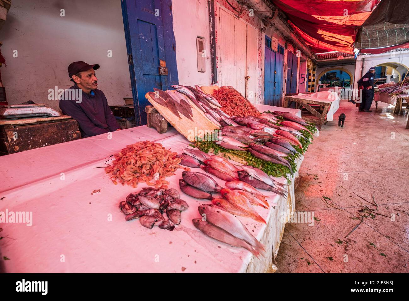 fish market in the medina, Essaouira, morocco, africa Stock Photo - Alamy
