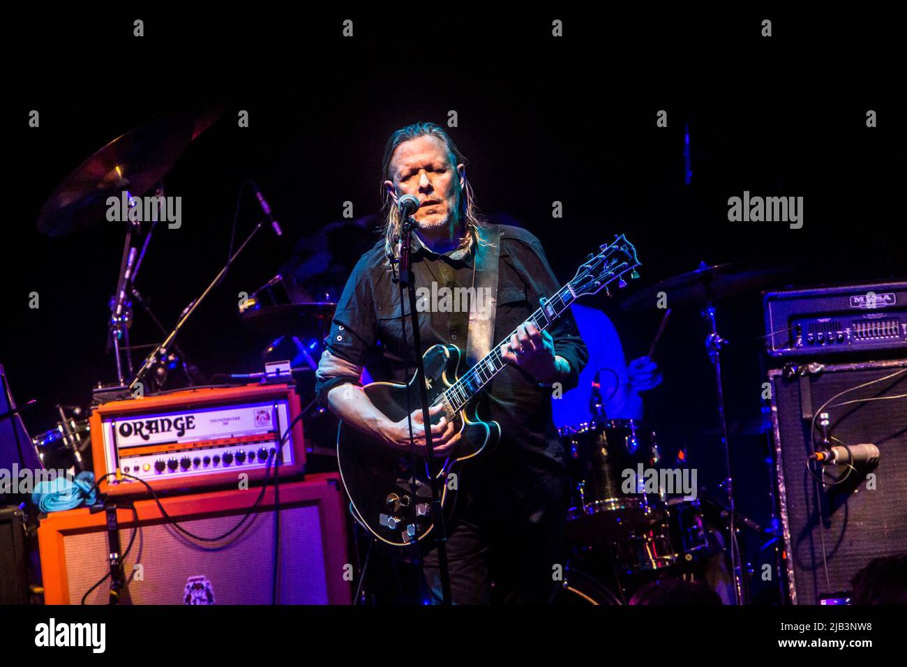 Norman westberg swans hi-res stock photography and images - Alamy