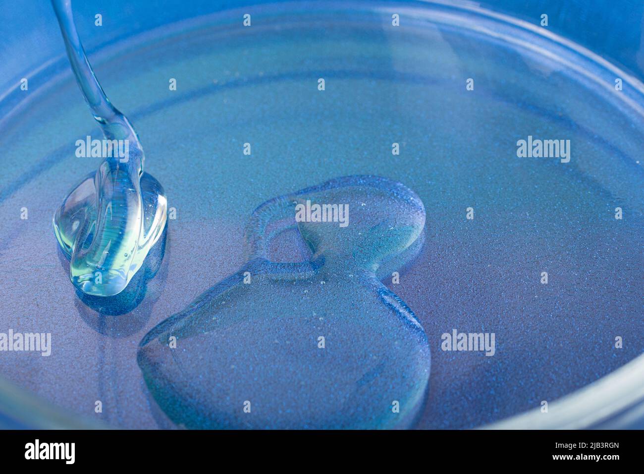 Closeup photography of dripping cosmetic gel in petri dish.Blue ...