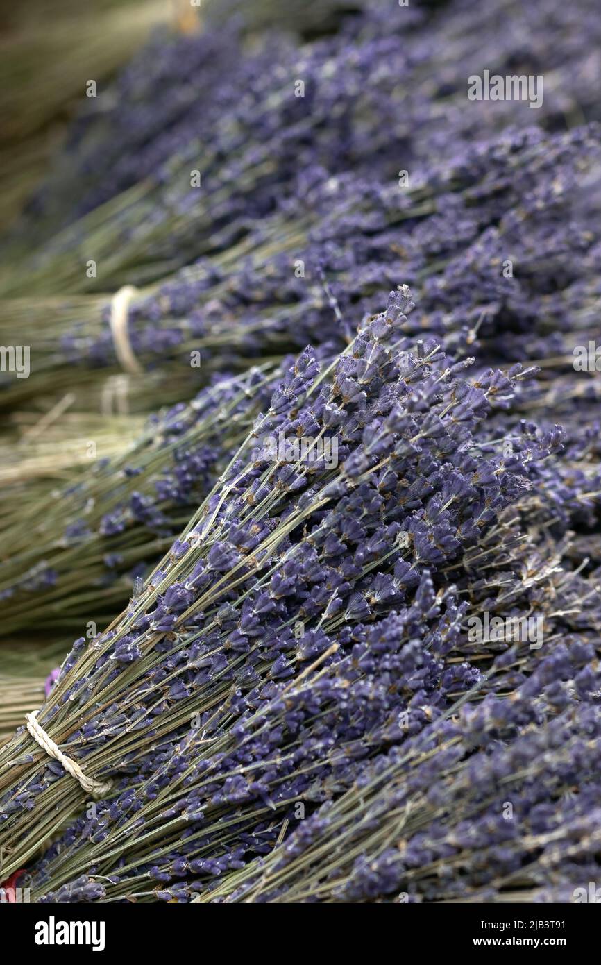 Lavender posies hi-res stock photography and images - Alamy