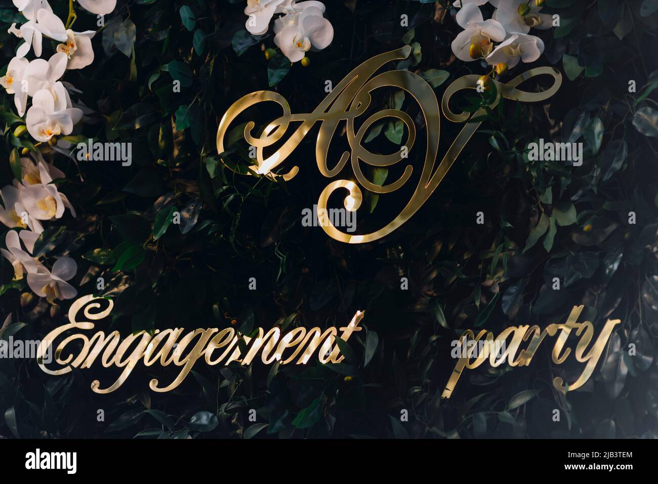 Y party hi-res stock photography and images - Alamy