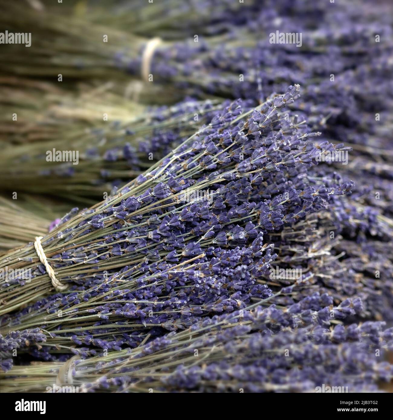 Lavender posies hi-res stock photography and images - Alamy