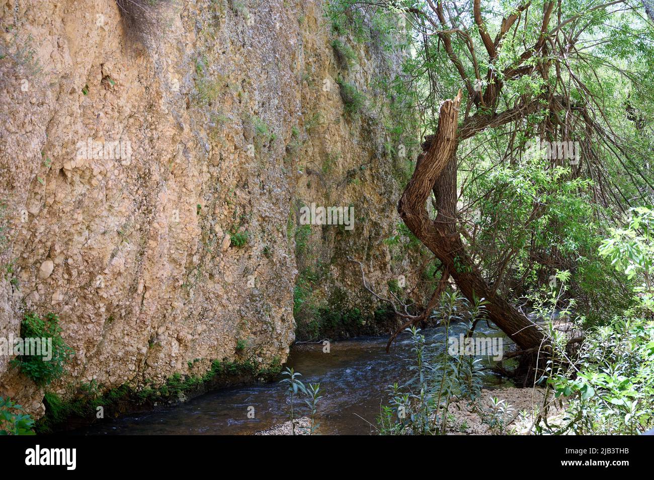 Waterfall landscape. Ayun's fall water stream. River Nahal Ayun. Nature ...
