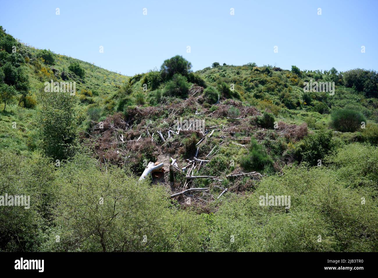 Landscapes and plants in the area of the Ayuna water stream. River ...